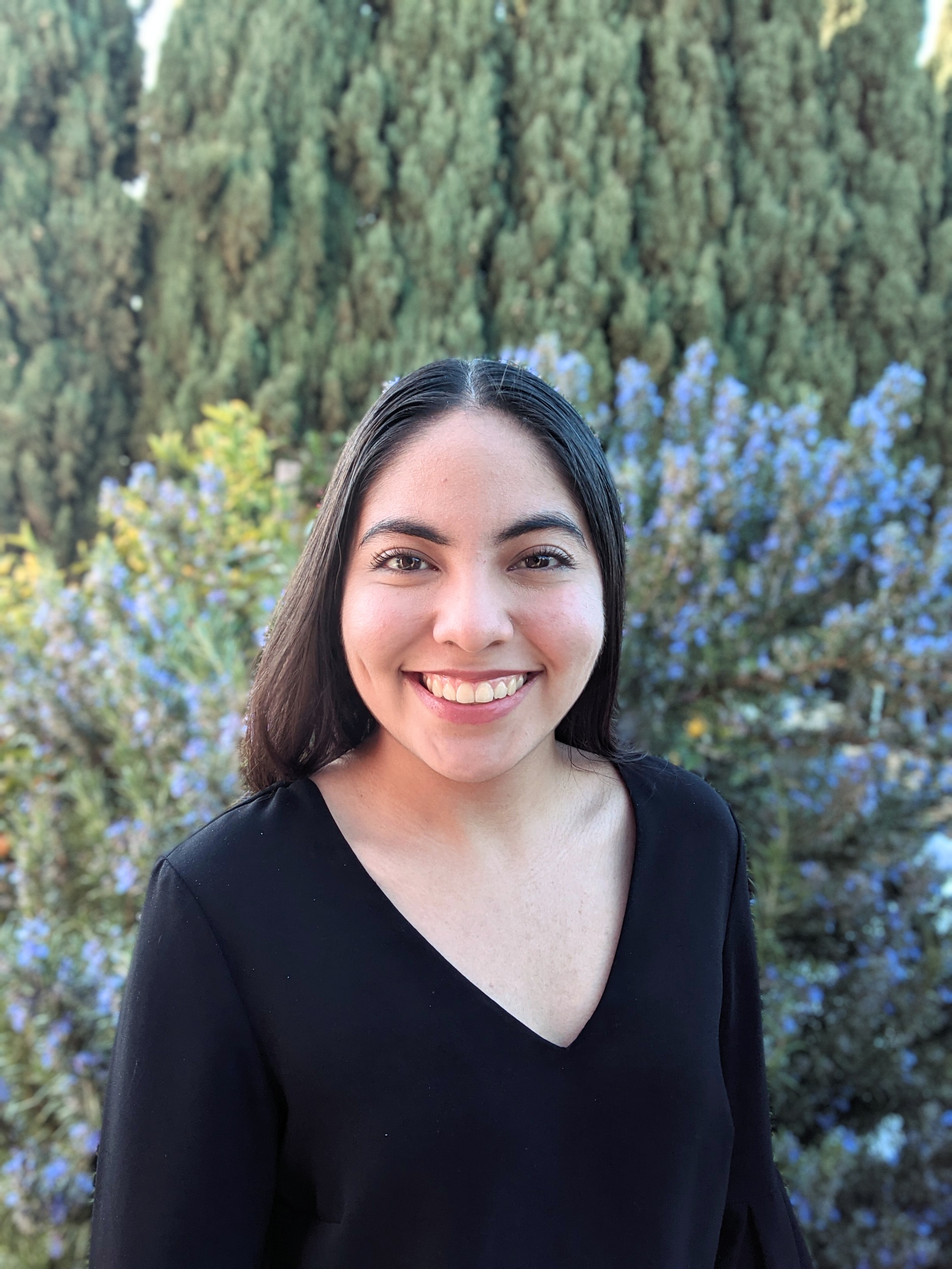 Lab | Ricardo Sanfelice